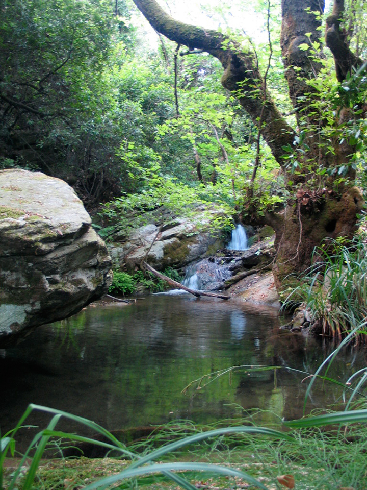 Portaria | Valeni Boutique Hotel | Portaria | Pelion | Greece